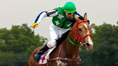 Live Horse Racing | Hollywood Casino at Penn National Race Course